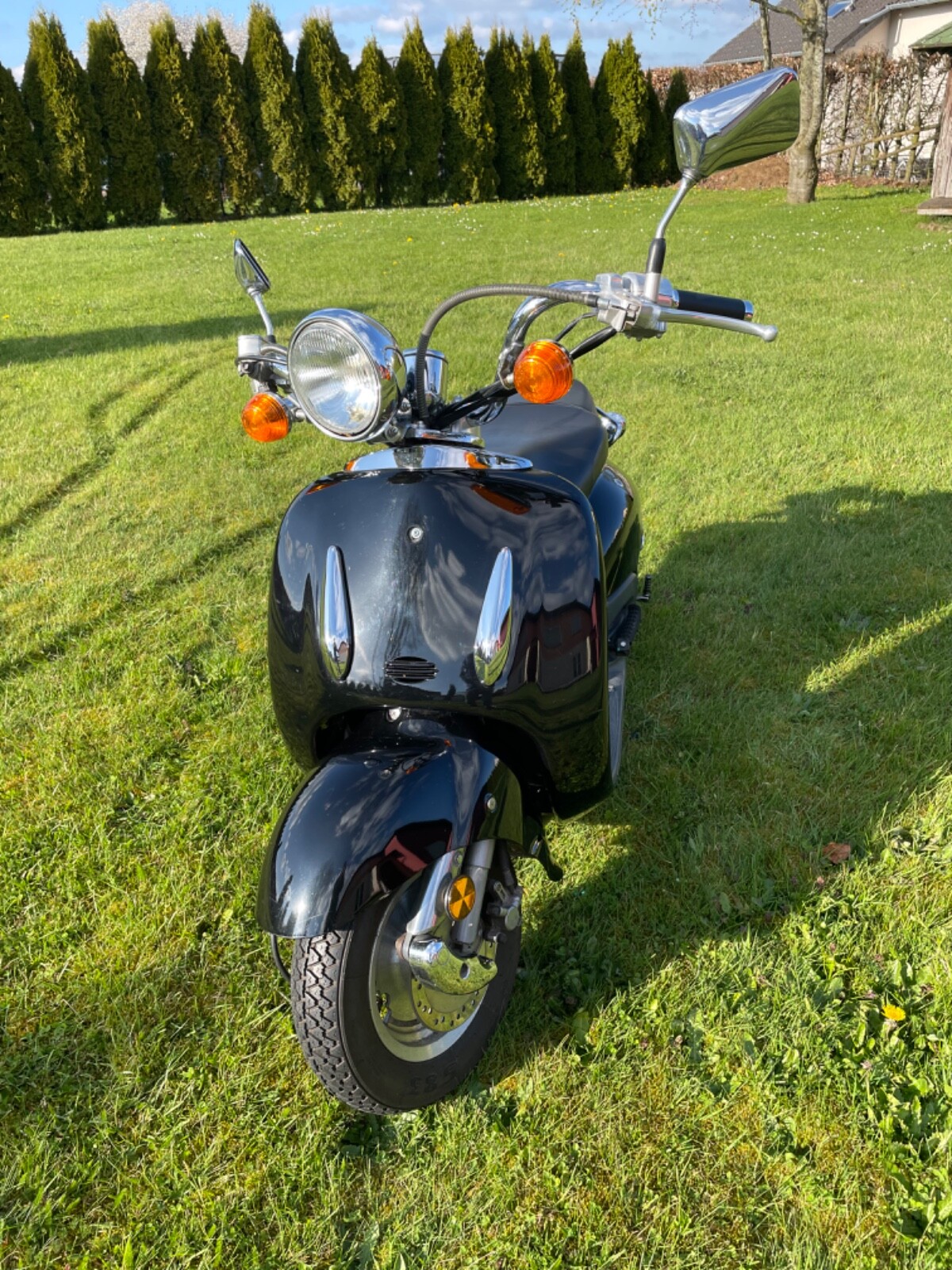Honda Shadow 50 SRX 50 | eBay.de