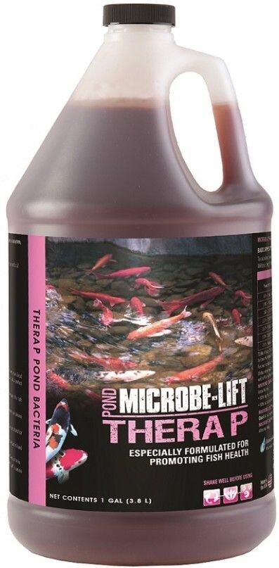 Microbe-Lift TheraP Pond Bacteria for Fish Health, 1 Gallon | eBay