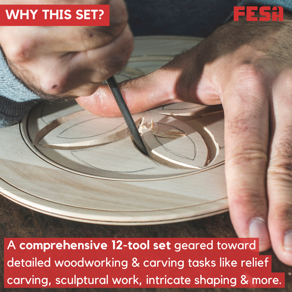 FESA Wood Carving Tool Set - 12 PC Wood Chisel Set- | eBay