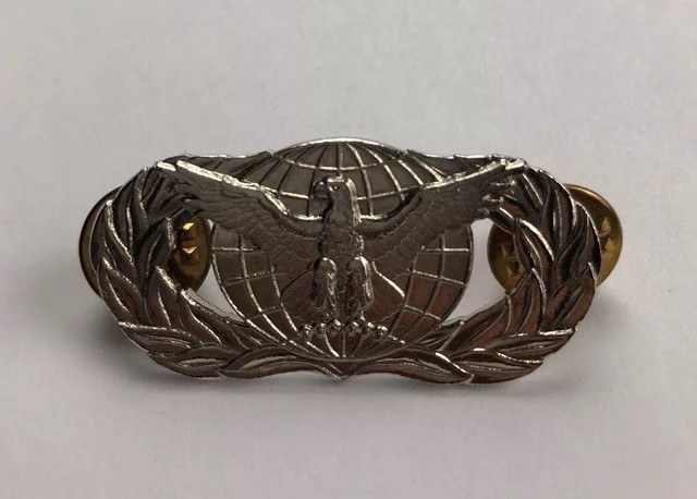 USAF Force Protection AFSC Insignia Badge M170 | eBay