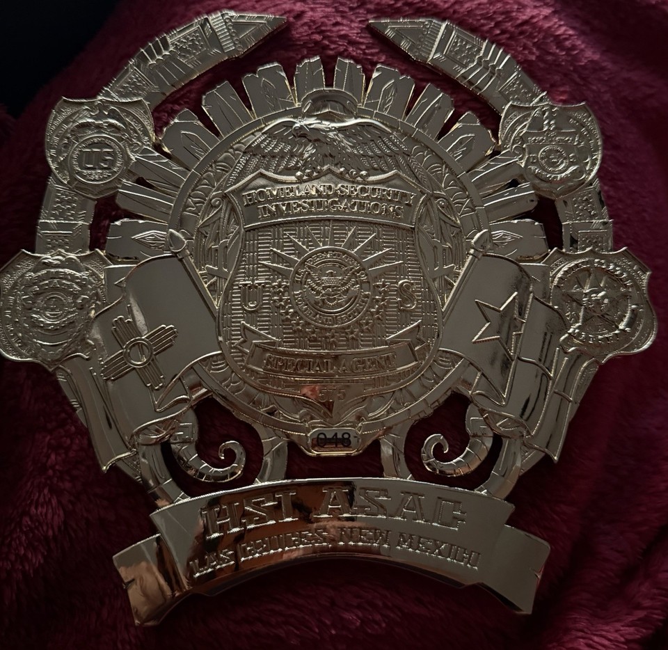 HSI Las Cruces New Mexico 7” Gold Challenge Coin-Limited #48- Merrick ...