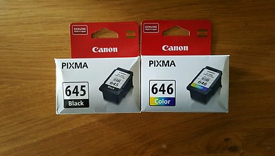 2x Original CANON PG 645 CL 646 Ink Cartridges MG2560/MG2460/MG2960 | eBay