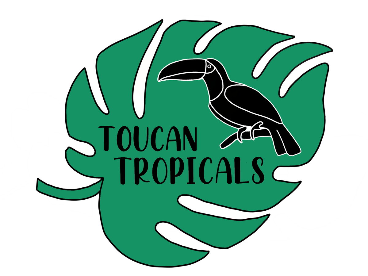 TOUCAN TROPICALS | eBay Stores