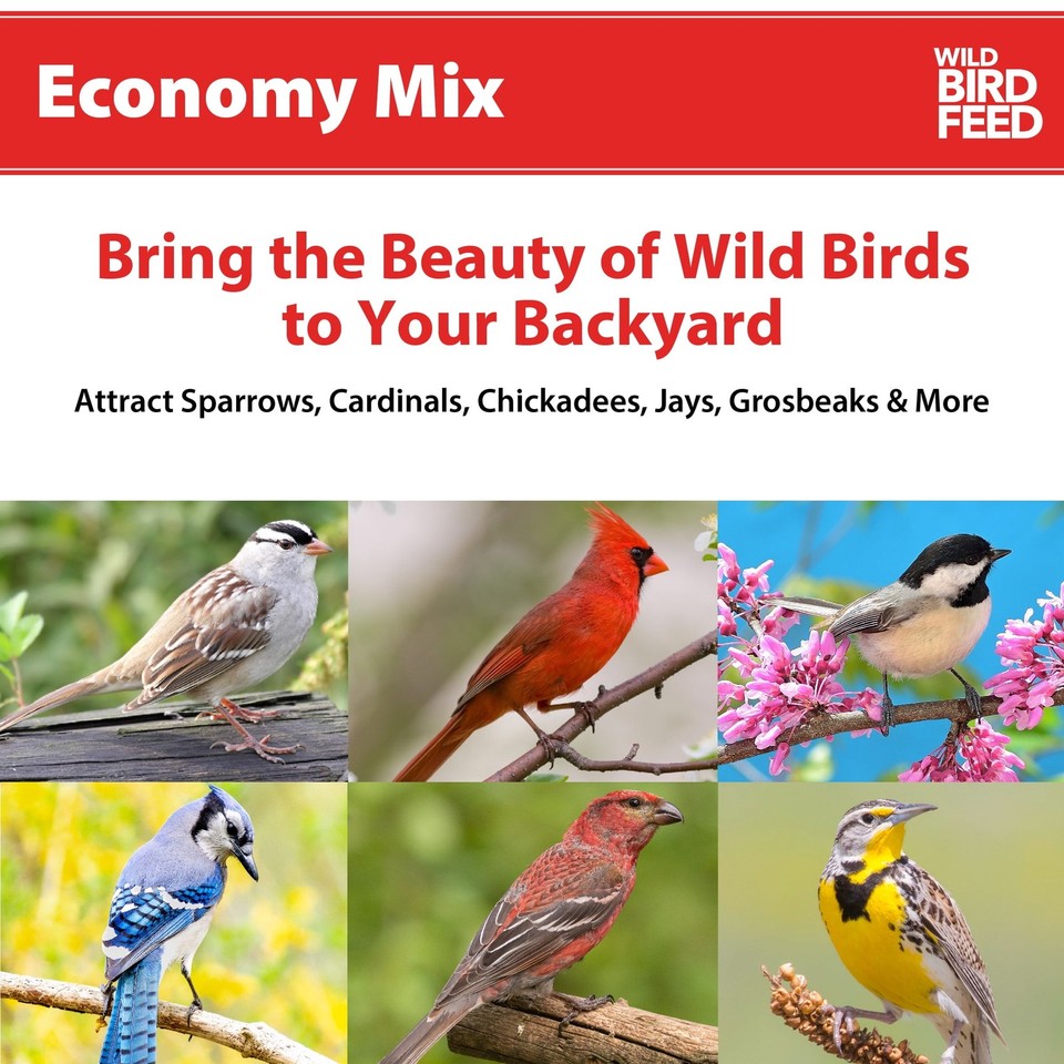 Economy Mix Wild Bird Feed, Value Bird Seed Blend, Dry, 20 lb. Bag | eBay