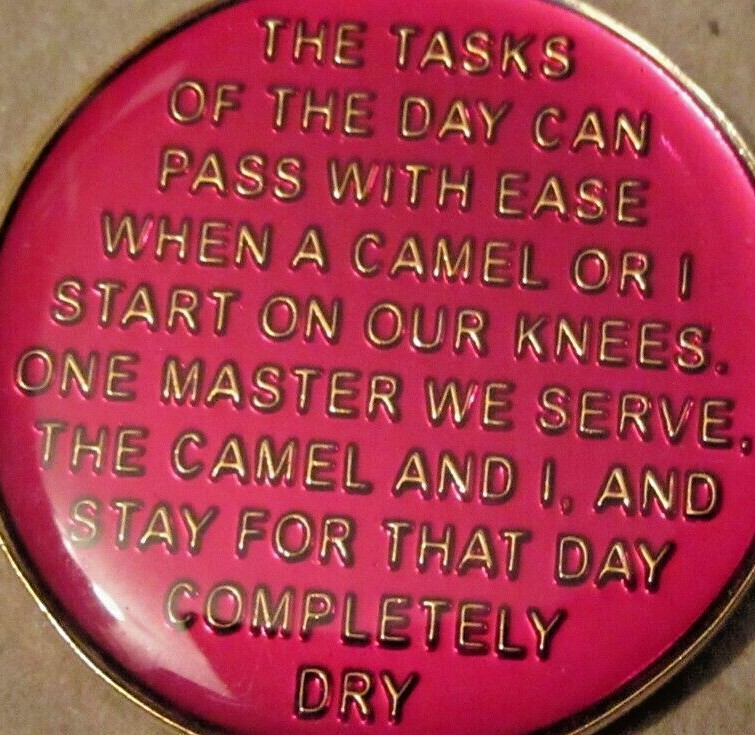 Alcoholics Anonymous AA Camel RED Gold Medallion Token coin Sober chip ...