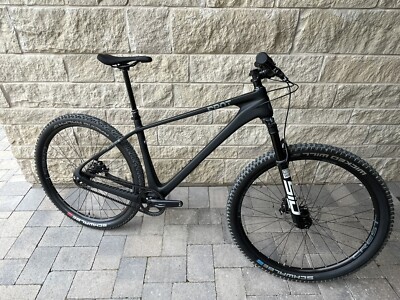 2024 Spot Rocker Single Speed 5-Star/4-Star Build - Large | eBay