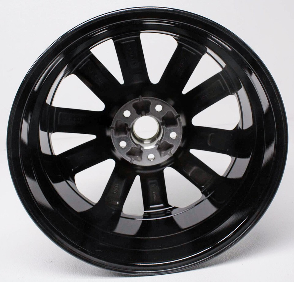 OEM Kia Sportage 18 inch Wheel D9529-AB000 Deep Nicks | eBay
