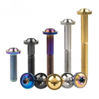 M8 Titanium Bolts Plum Head Truss Screw T40 Torx 10 15 20 25 30 35 40 ...
