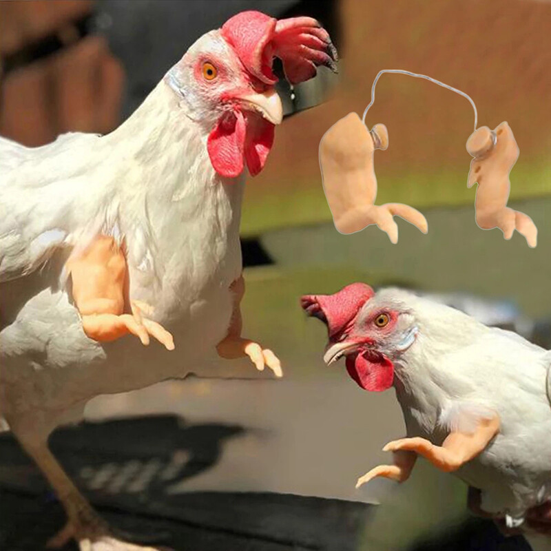 Chicken Arms Memes Buy Funny Chicken Arm Chicken Forelimb Decoration