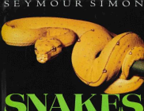 Snakes - Library Binding By Simon, Seymour - GOOD 9780060225308| eBay