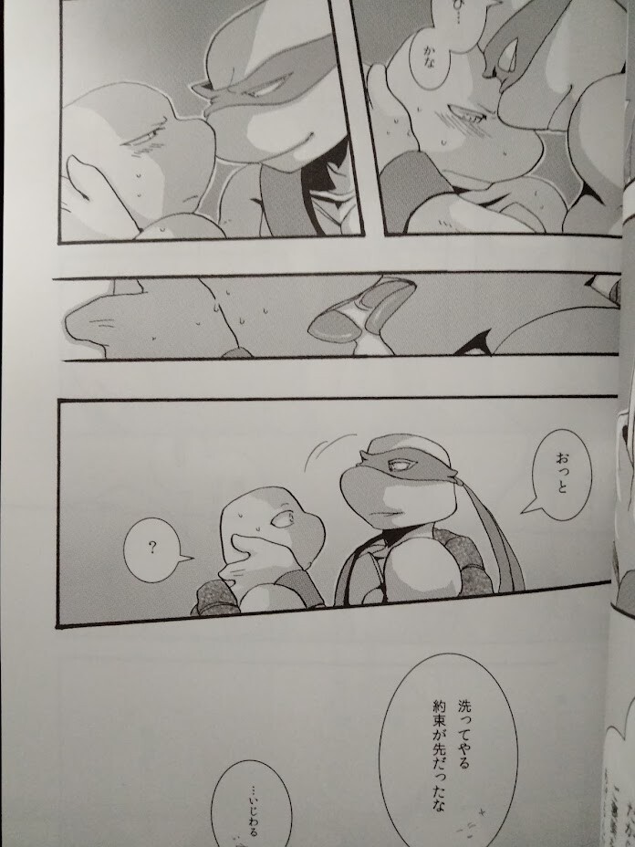 Tmnt Leo And Donnie Yaoi