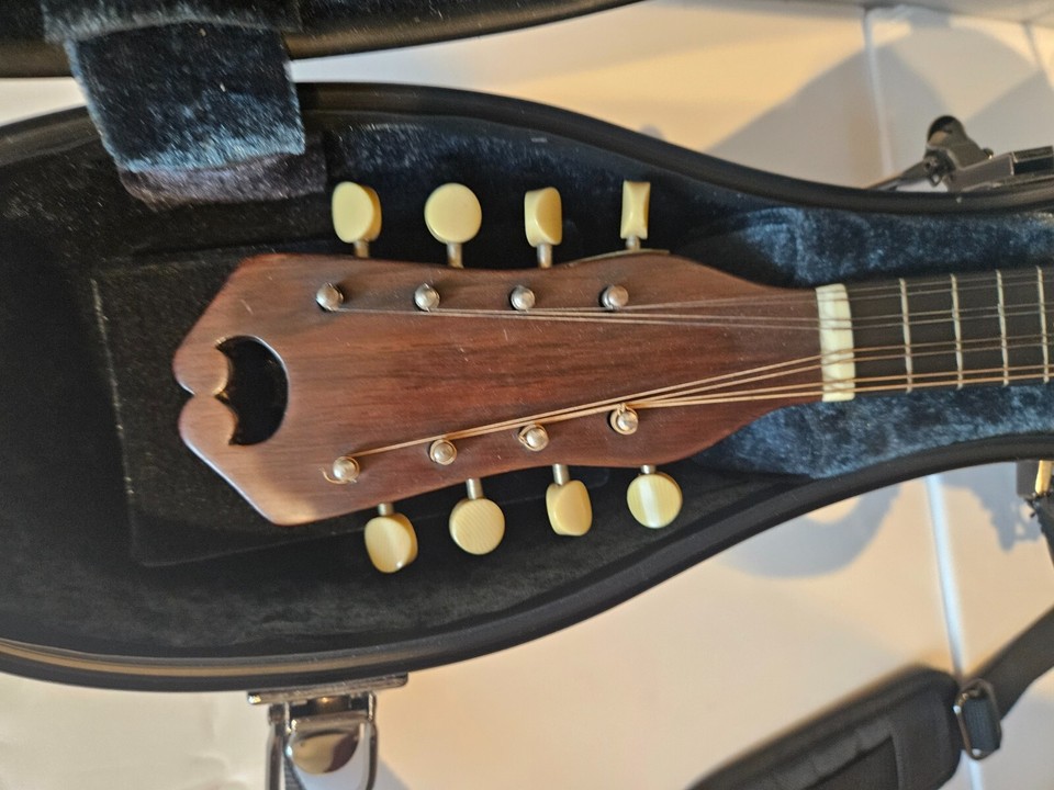 1919 C.F. Martin Style 2 Bowlback Mandolin in Fiberglass Case | eBay