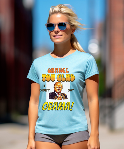 Funny 2024 Trump Orange President Obama Feud election harris walz vote ...