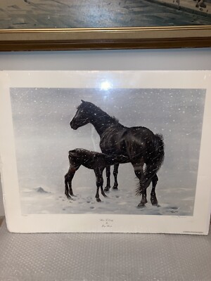Vintage “Born Too Early” Signed Jerry Riness Print 351/400 Original ...