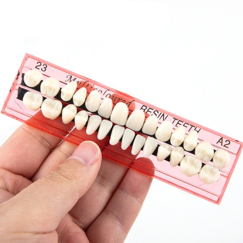 28Pcs Resin Teeth Model Durable Dentures Universal False 'Teeth Dental ...