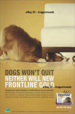 FRONTLINE 1-Page MAGAZINE PRINT AD 2016 AUSTRALIAN SHEPHERD dog ...