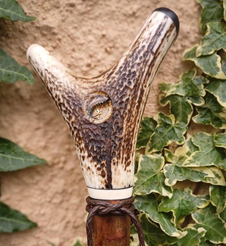 Walking Stick | eBay UK