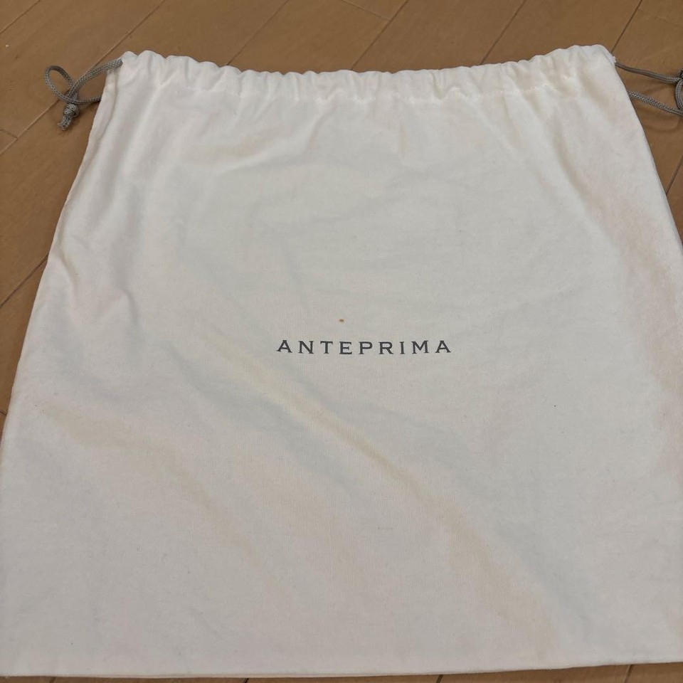 ANTEPRIMA FIORITURA Rose Silver Gold Wire Basket Bag Women's Casual ...