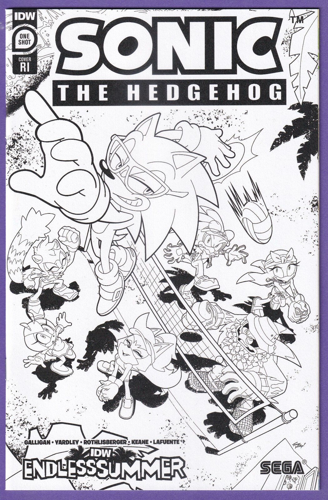 IDW Endless Summer Sonic the Hedgehog 1:10 Coloring Book Variant Actual ...