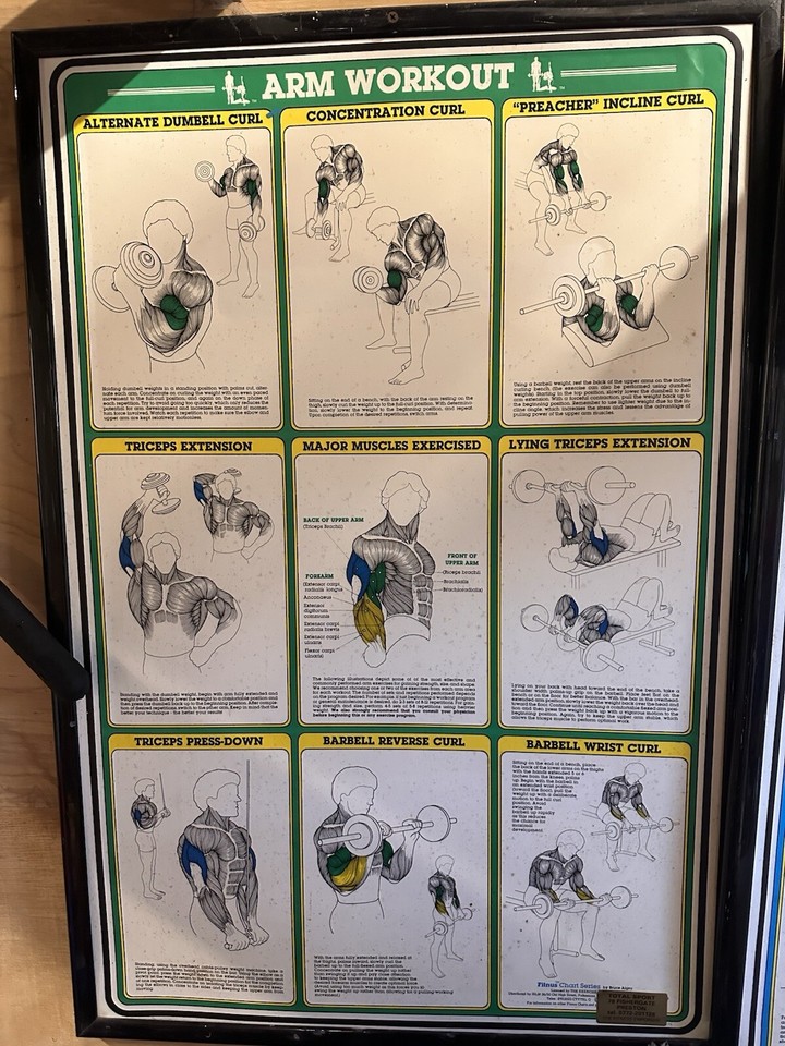 6 X BARBELL GYM WORKOUT EXERCISE POSTERS IN FRAMES | eBay UK