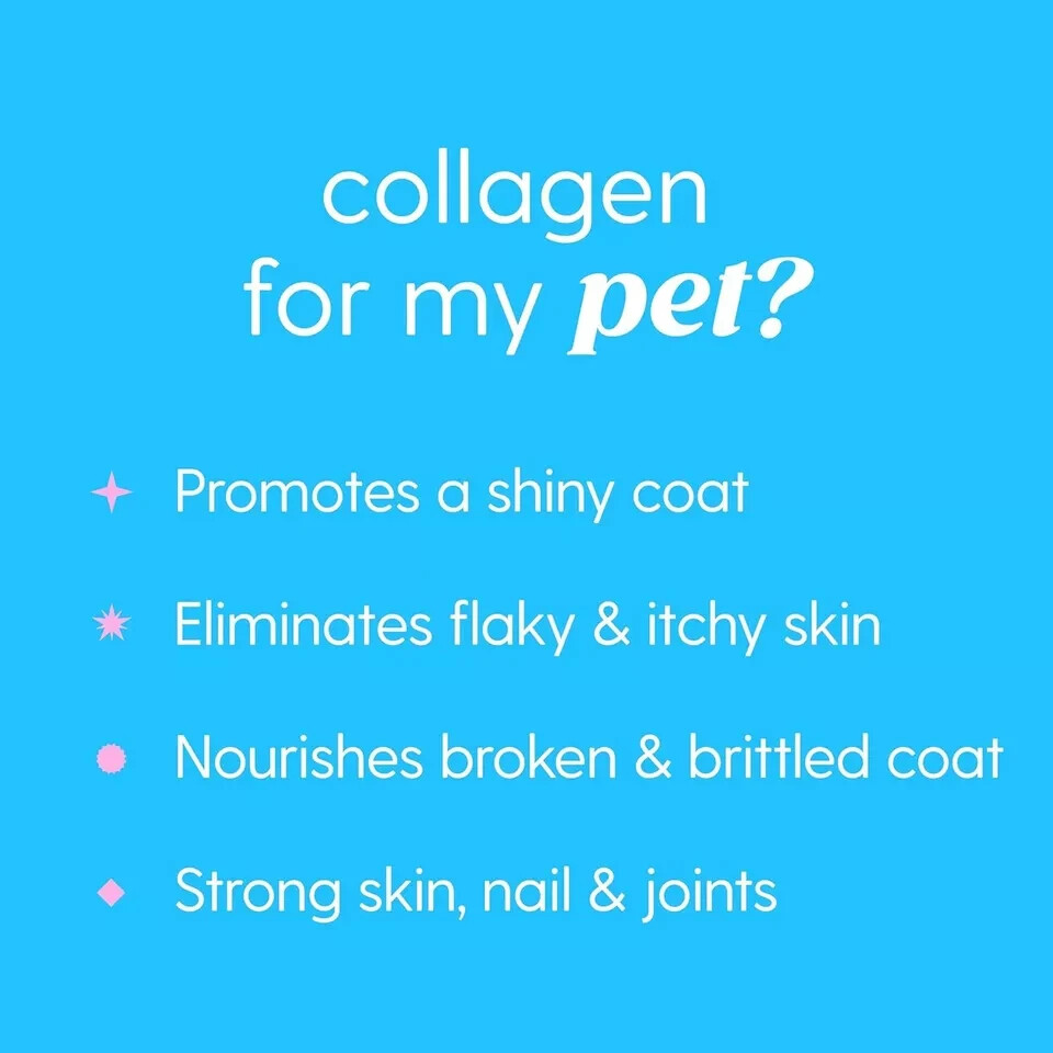 Skin and Coat Supplement for Dogs, Cats | Taily Liquid Collagen for ...