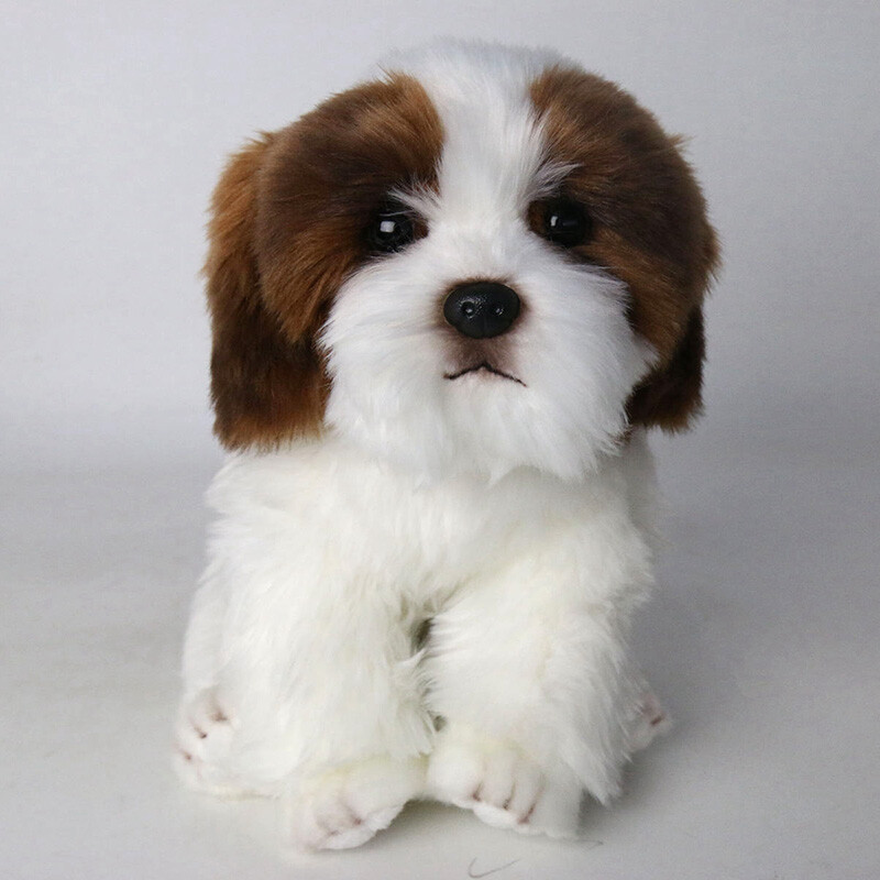 Realistic Simulation Shih tzu Dog Plush Toy Doll Long Hair Furry Puppy ...