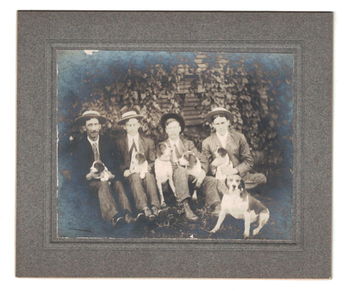 Antique 1910-1920s Cabinet Card Photo Hound Dogs Litter of Puppies on ...