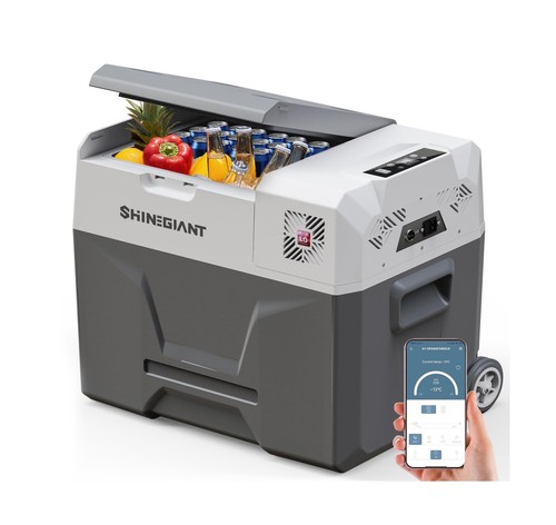 12 Volt Car Refrigerator,LG Portable Freezer Electric Cooler with 53 QT ...