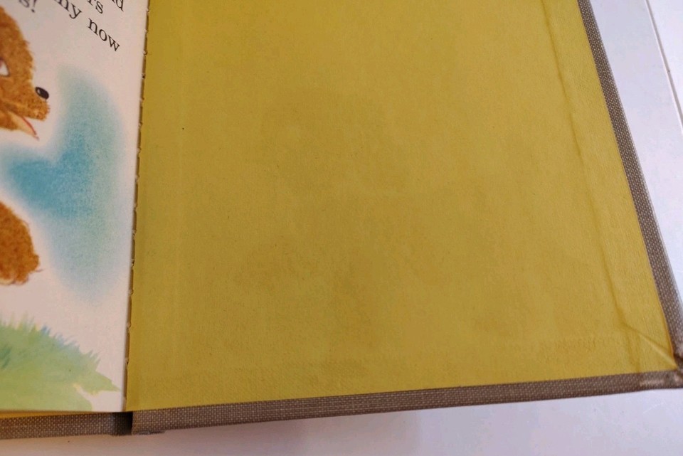 Rare 1954 Fuzzy Wuzzy Puppy Blue HC Childrens Book Excellent Flocked ...