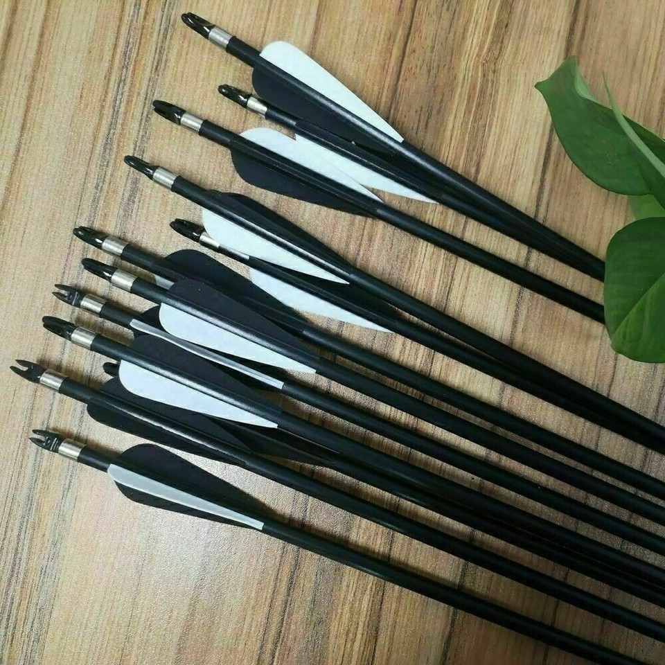 Archery 30" Fiberglass Arrows Practice & Hunting Quiver for Compound ...