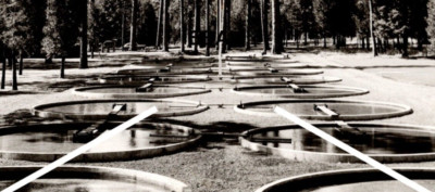 1951 RPPC Postcard Wizard Falls Trout Hatchery Fish Fisheries Oregon BW ...