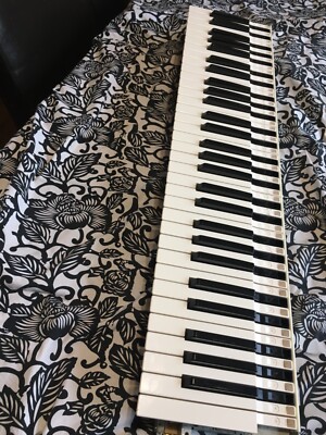 Complete keybed Korg M1. Tested and working!! | eBay