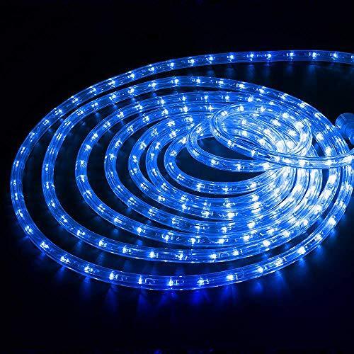 Blue Led Rope Lights 120 Volt | Shelly Lighting