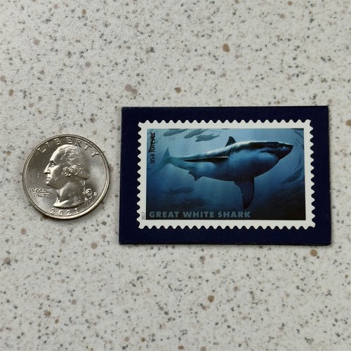 2017 Great White Shark USPS Forever Postal Postage Stamp Thin Magnet ...