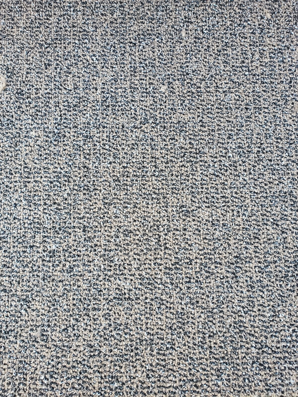 Tandus Carpet Tile | eBay