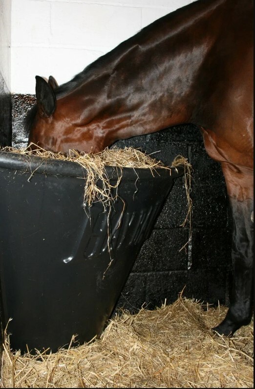 The Original Horse Haybar Hay Bar Feed & Hay Manger - Horse Size | eBay UK