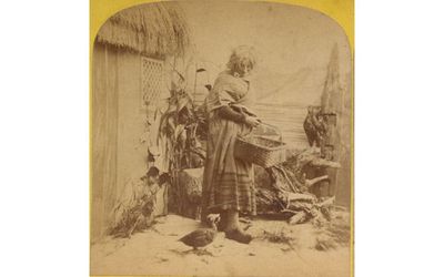 HAGGARD WOMAN WITH BASKET, DUCK + ROOSTER STEREOVIEW | eBay
