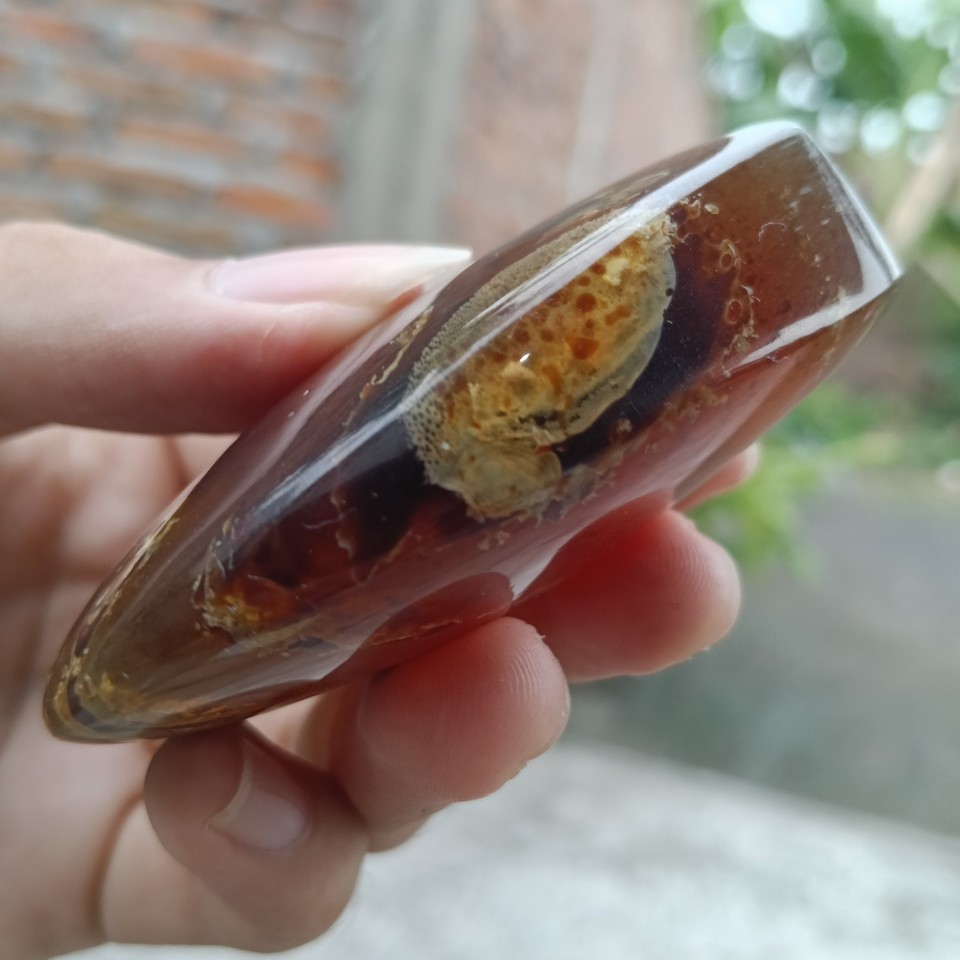 52 gram Indonesia Sumatra Amber Dome Shape Polished Rough Raw Stone ...