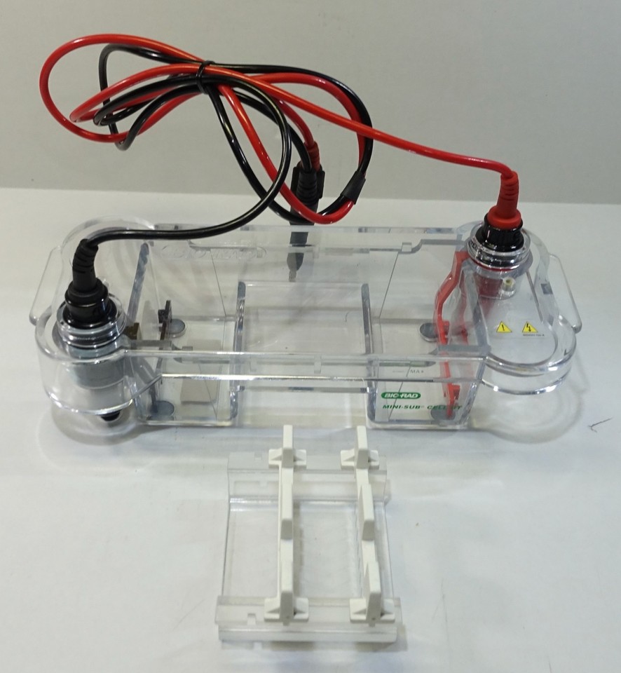 Bio-Rad Mini-Sub Cell GT DNA Electrophoresis Systems, Tray & 2 Combs ...
