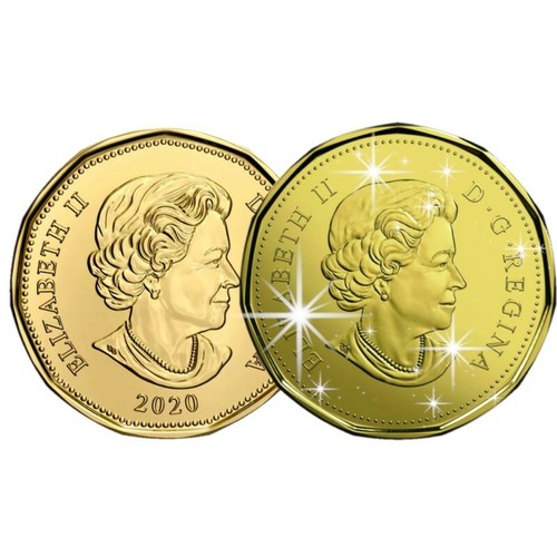 🇨🇦 Rare Canada Beautiful Loonies $1 Dollar Coins, Proof & Brilliant UNC ...