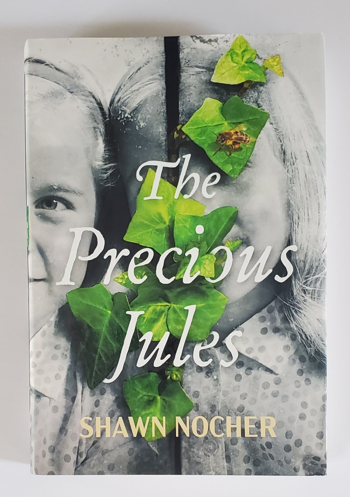 The Precious Jules By Shawn Nocher 1st Ed, HC & DJ 2022 9781094058313| eBay