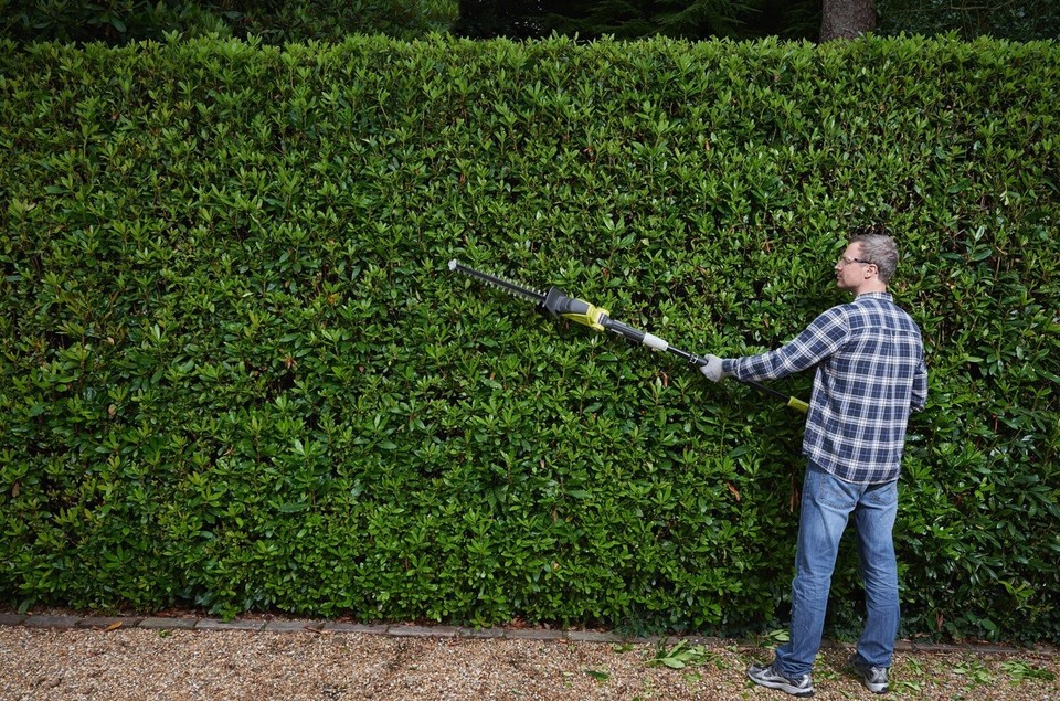 Ryobi RPT184520C 18V ONE+ Cordless 45cm Pole Hedge Trimmer (No Hedge ...