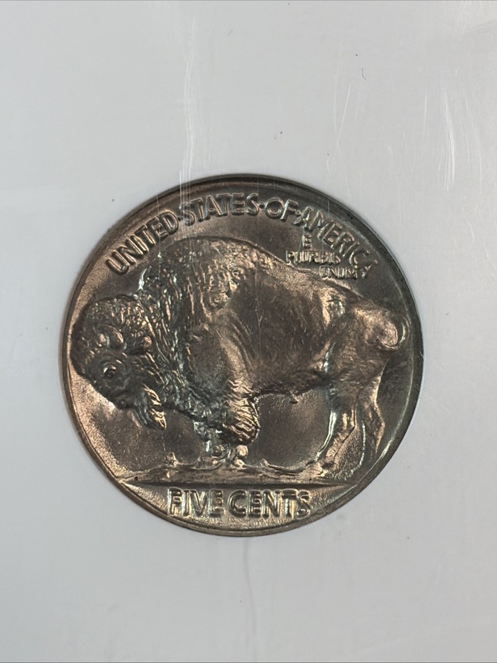 1927 P Buffalo Indian Head Nickel MS66 NGC MS 66 Razor Sharp Strike Old ...