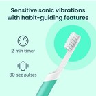 Quip Electric Toothbrush with Replaceable Brush Head-Marine Blue New ...