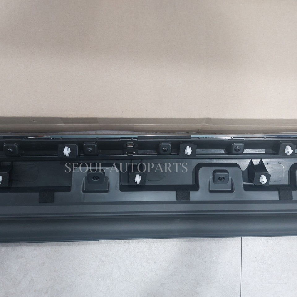 DHL EXPRESS 87722C5200 Front Door Lower Molding Right Side for 16-20 ...