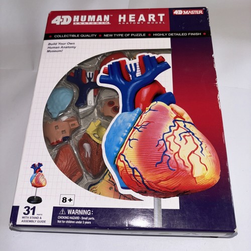 4D Human Heart Anatomy Model 31 Parts With Stand & Assembly Guide NEW ...