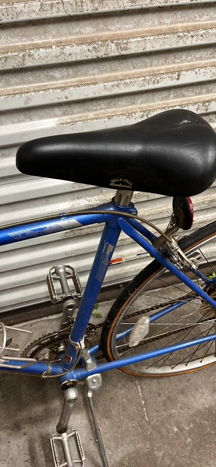 Panasonic Sport 1000 Vintage Racing Bike Made In Japan | eBay