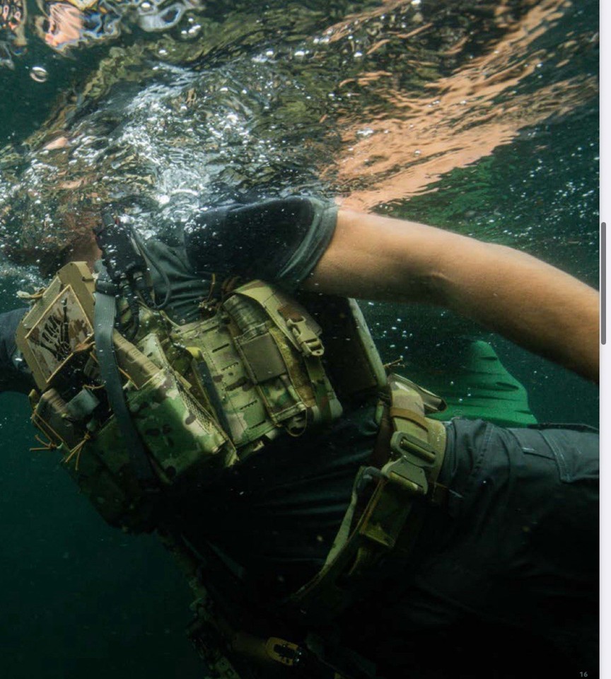 New Eagle Industries Multicam MMAC-R 2019 MEDIUM NSW Plate Carrier ...