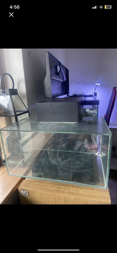 Fish Tank | eBay UK