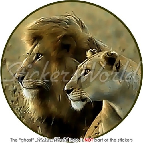 LÖWE Löwen Paar Wildtiere Großkatzen Auto Aufkleber, Vinyl Sticker | eBay